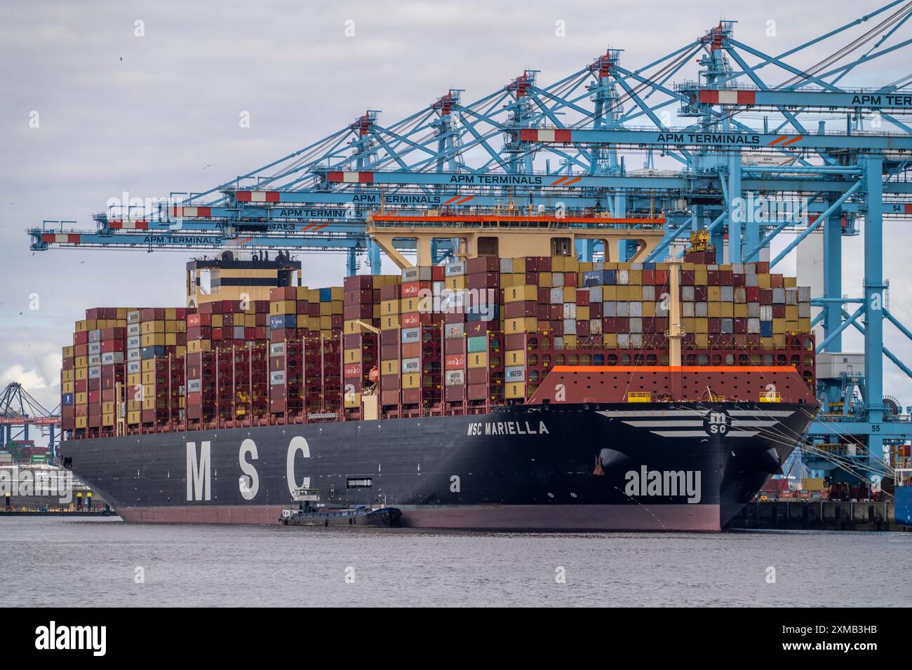 APM Container Terminal, MSC container freighter Mariella being loaded ...
