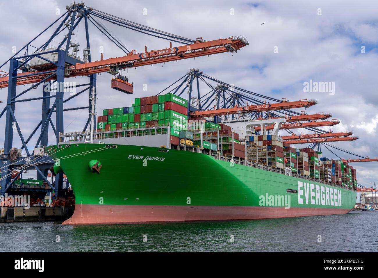 Euromax Container Terminal, container freighter Ever Genius, Evergreen ...