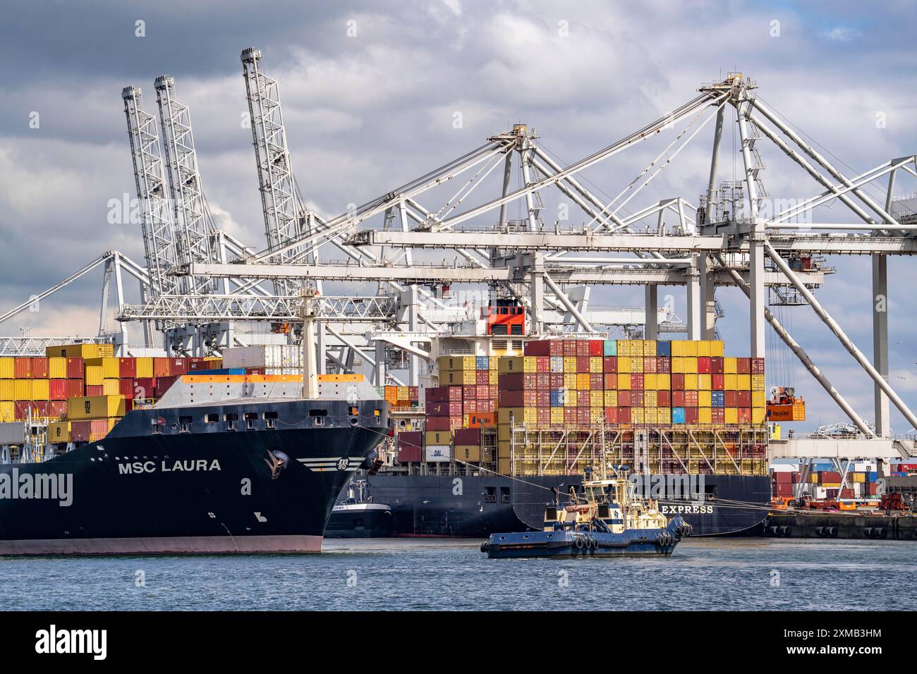 ECT Delta Container Terminal, in Europahaven, MSC Laura container ...