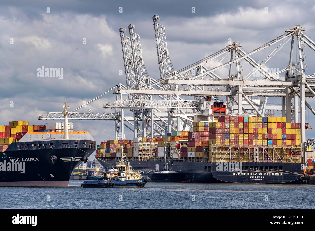 ECT Delta Container Terminal, in Europahaven, MSC Laura container ...