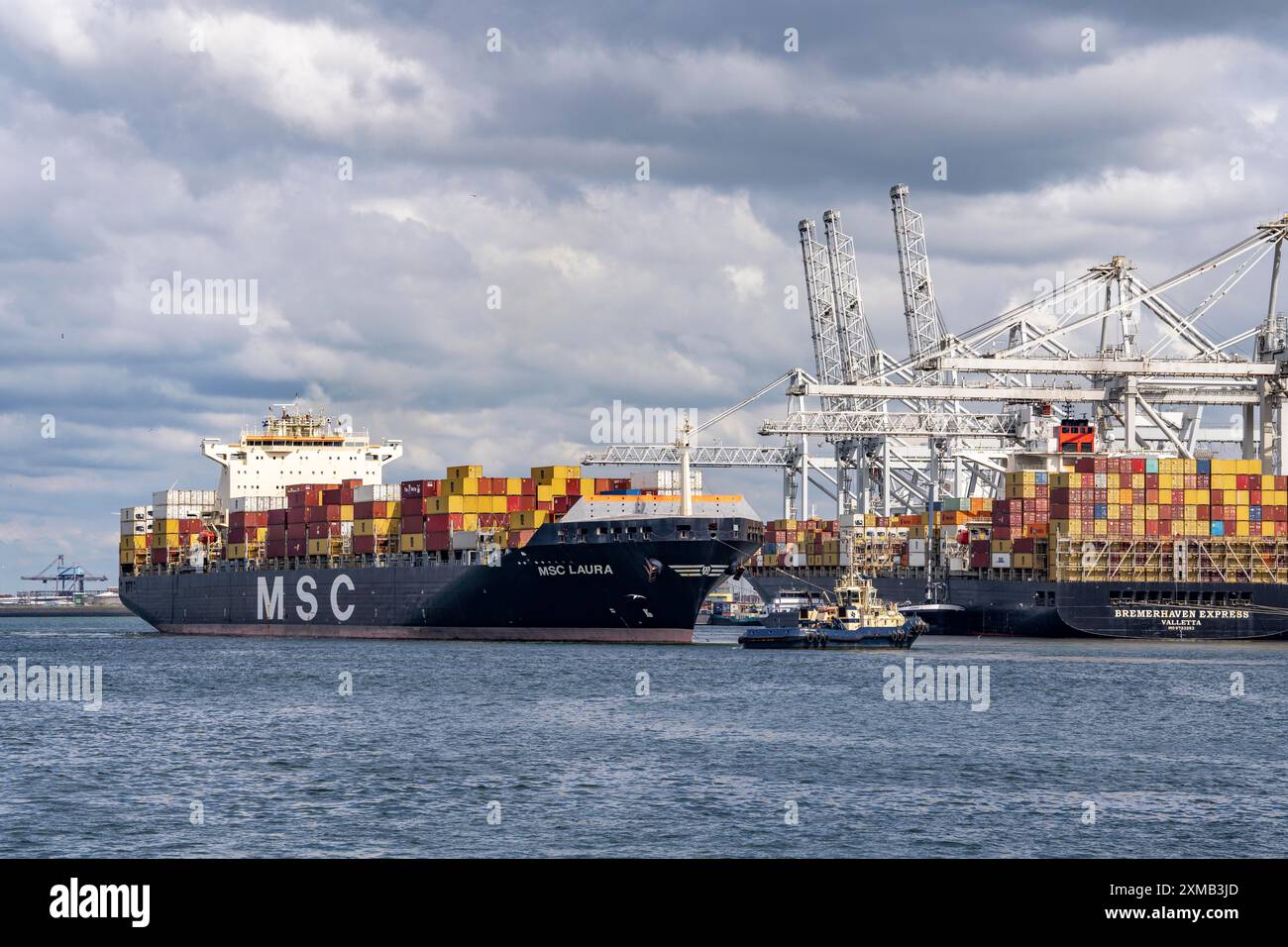 ECT Delta Container Terminal, in Europahaven, MSC Laura container ...