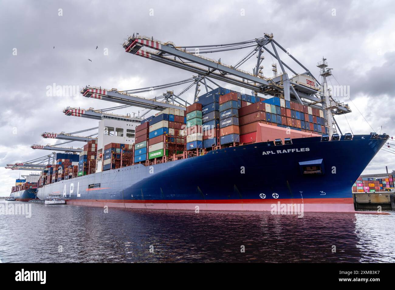 RWG Container Terminal, seaport of Rotterdam, container freighter APL ...