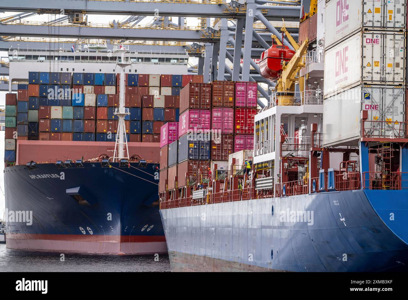 RWG Container Terminal, seaport of Rotterdam, container freighters are ...