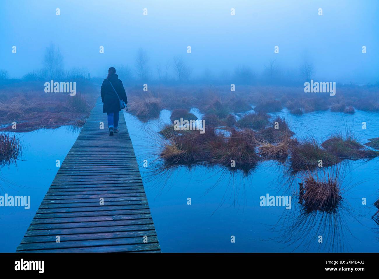 The High Fens nature park Park, in the German-Belgian border region ...