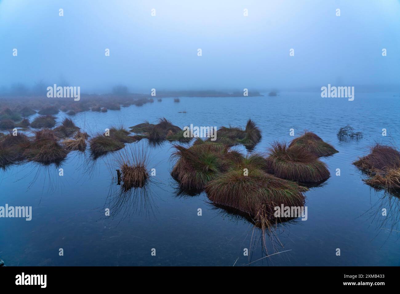 The High Fens nature park Park, in the German-Belgian border region ...