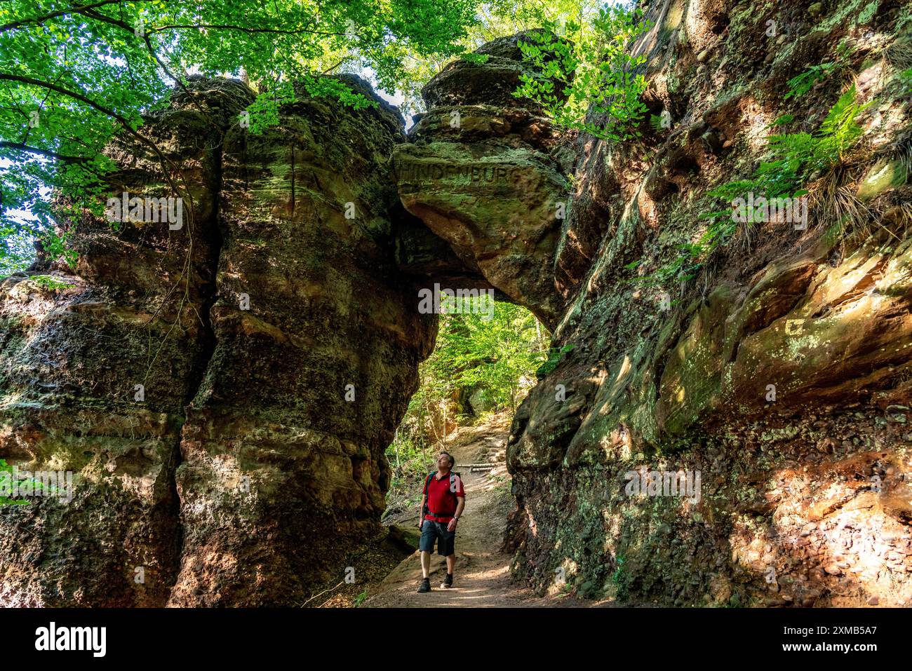 Hindenburgtor, rock formation on the red sandstone route, hiking trail ...