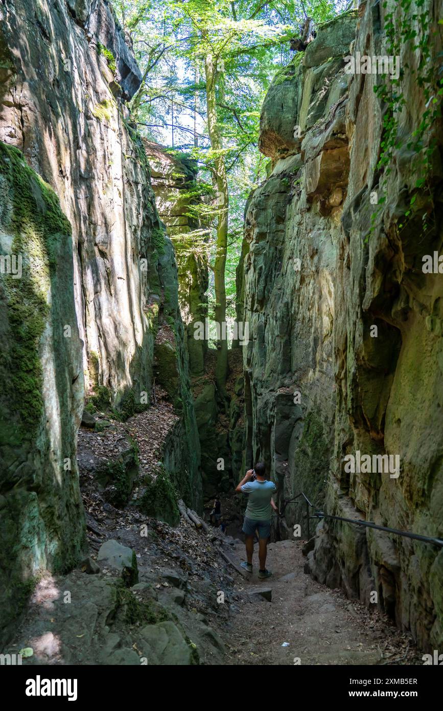 The Devil's Gorge, narrow, accessible gorge of sandstone rocks, with ...
