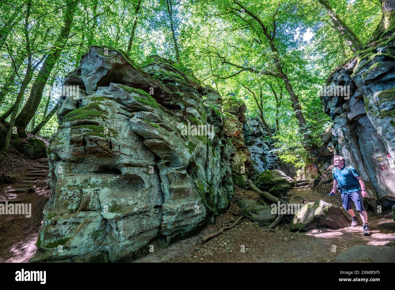 The Devil's Gorge, narrow, accessible gorge of sandstone rocks, with ...