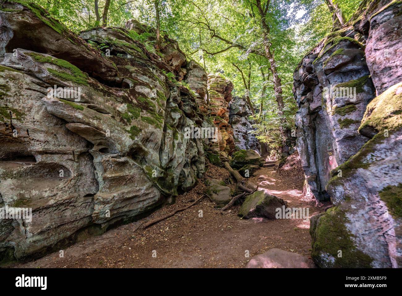 The Devil's Gorge, narrow, accessible gorge of sandstone rocks, with ...