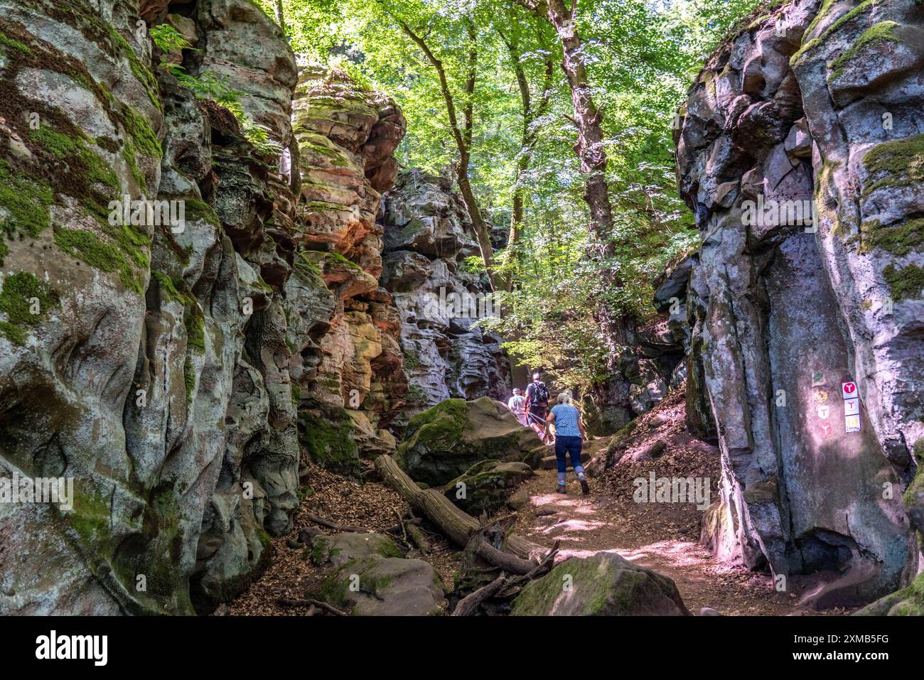 The Devil's Gorge, narrow, accessible gorge of sandstone rocks, with ...