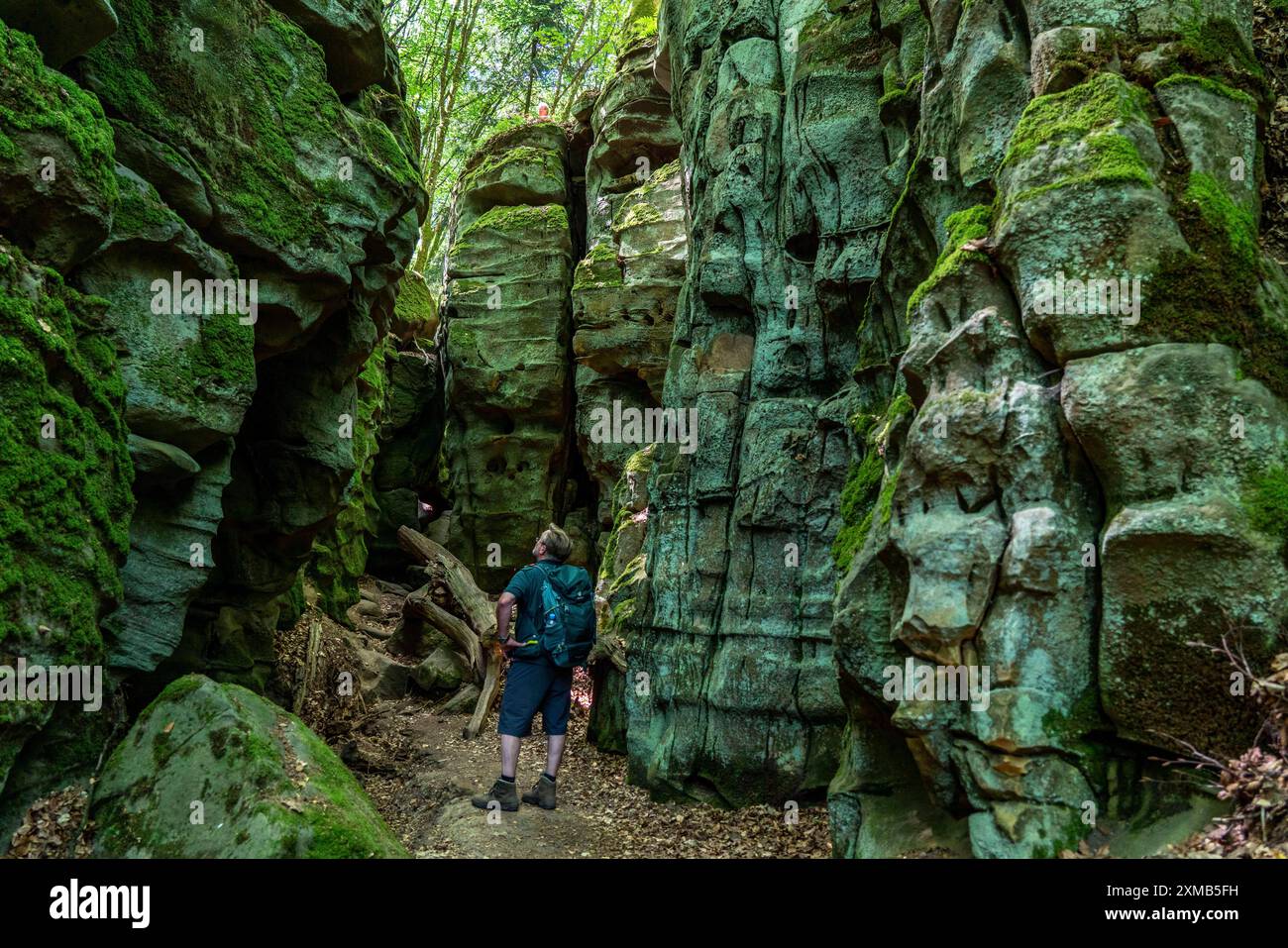 The Devil's Gorge, narrow, accessible gorge of sandstone rocks, with ...
