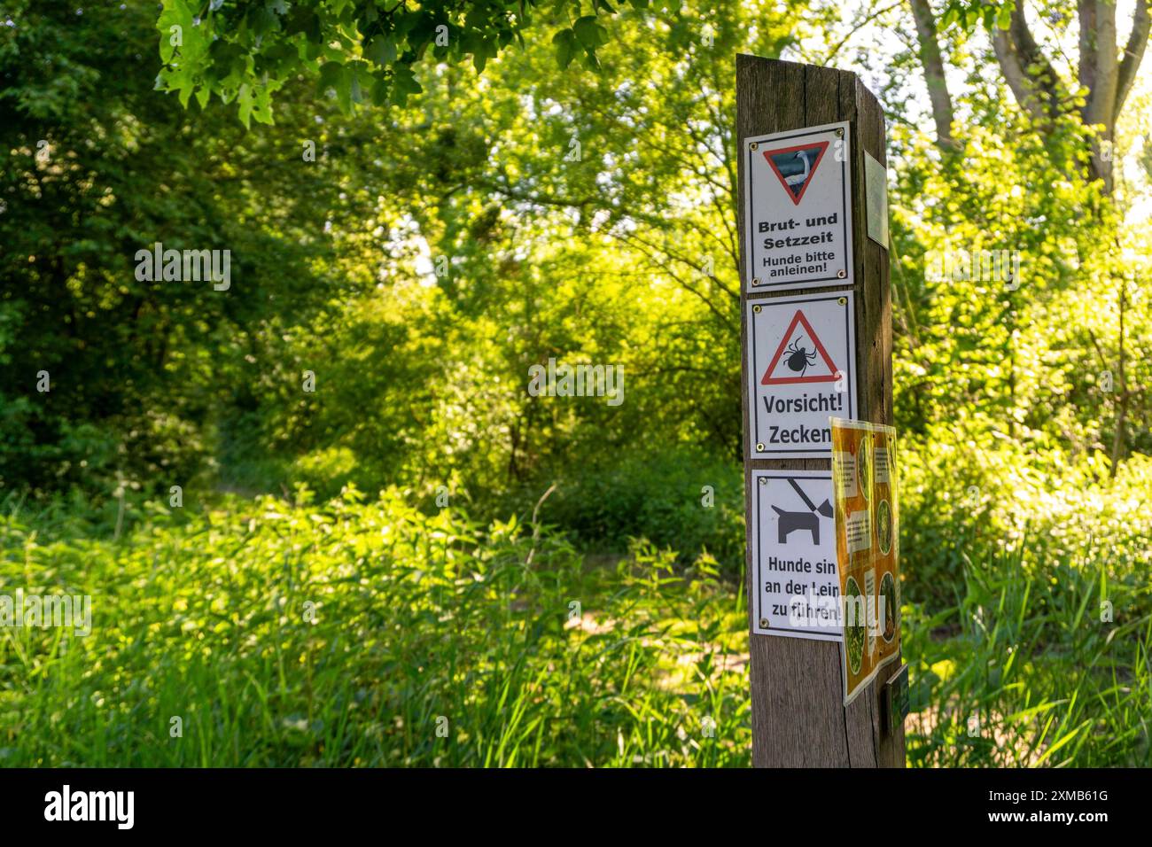 Warning signs for ticks, in the Urdenbachen Kaempe nature reserve ...
