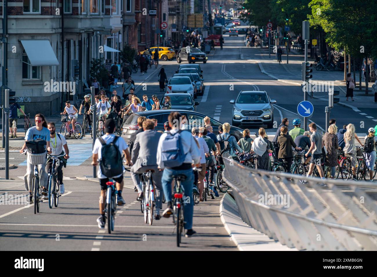 Cyclists on cycle paths, on Vester Voldgade Street, Lille Langebro ...