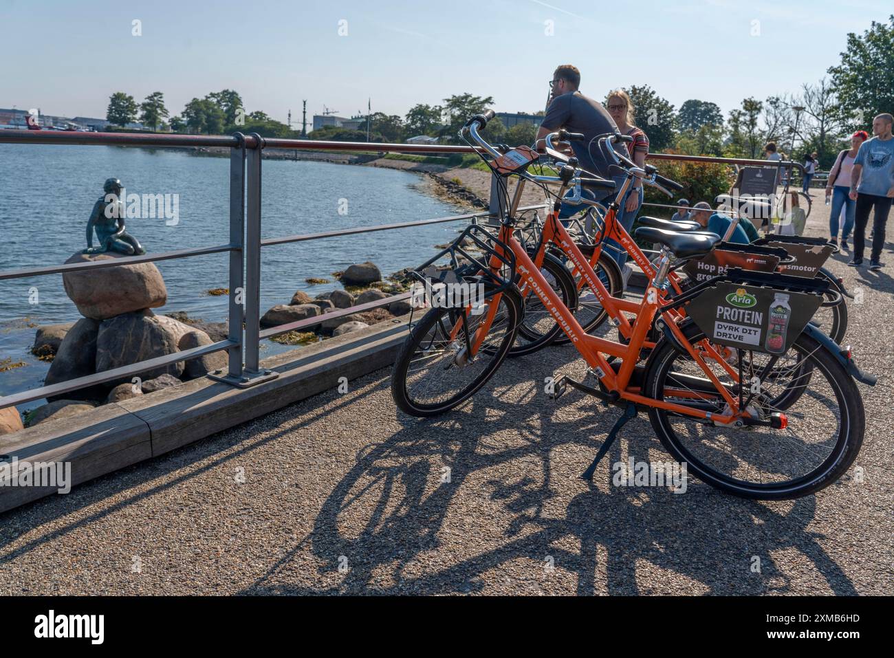The Little Mermaid statue, Den lille Havfrue in Danish, on the ...