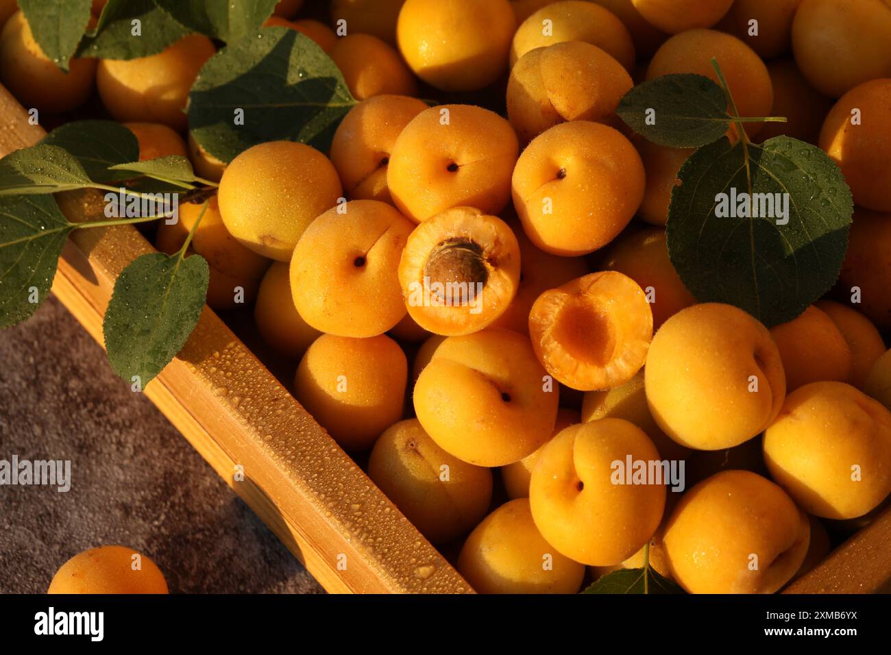Bright summer orange apricots hi-res stock photography and images - Alamy