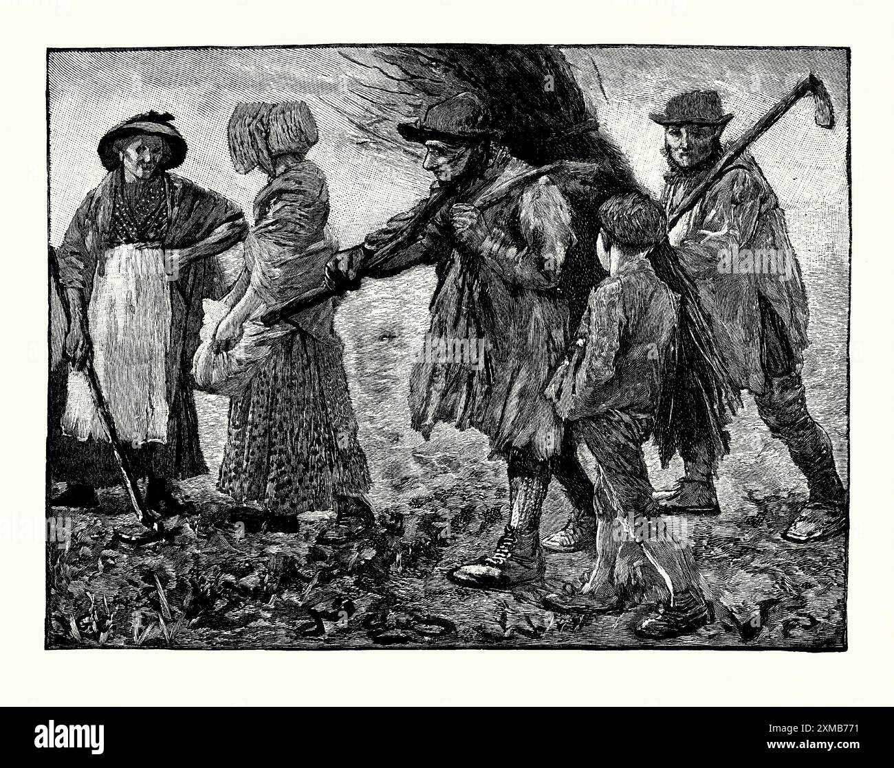 Agricultural revolution hi-res stock photography and images - Alamy
