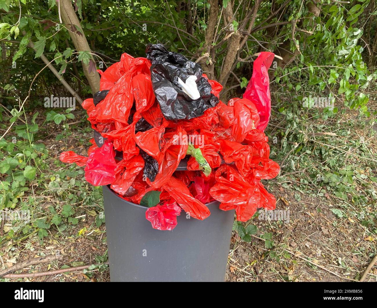 Dog faeces in a bag hi-res stock photography and images - Alamy
