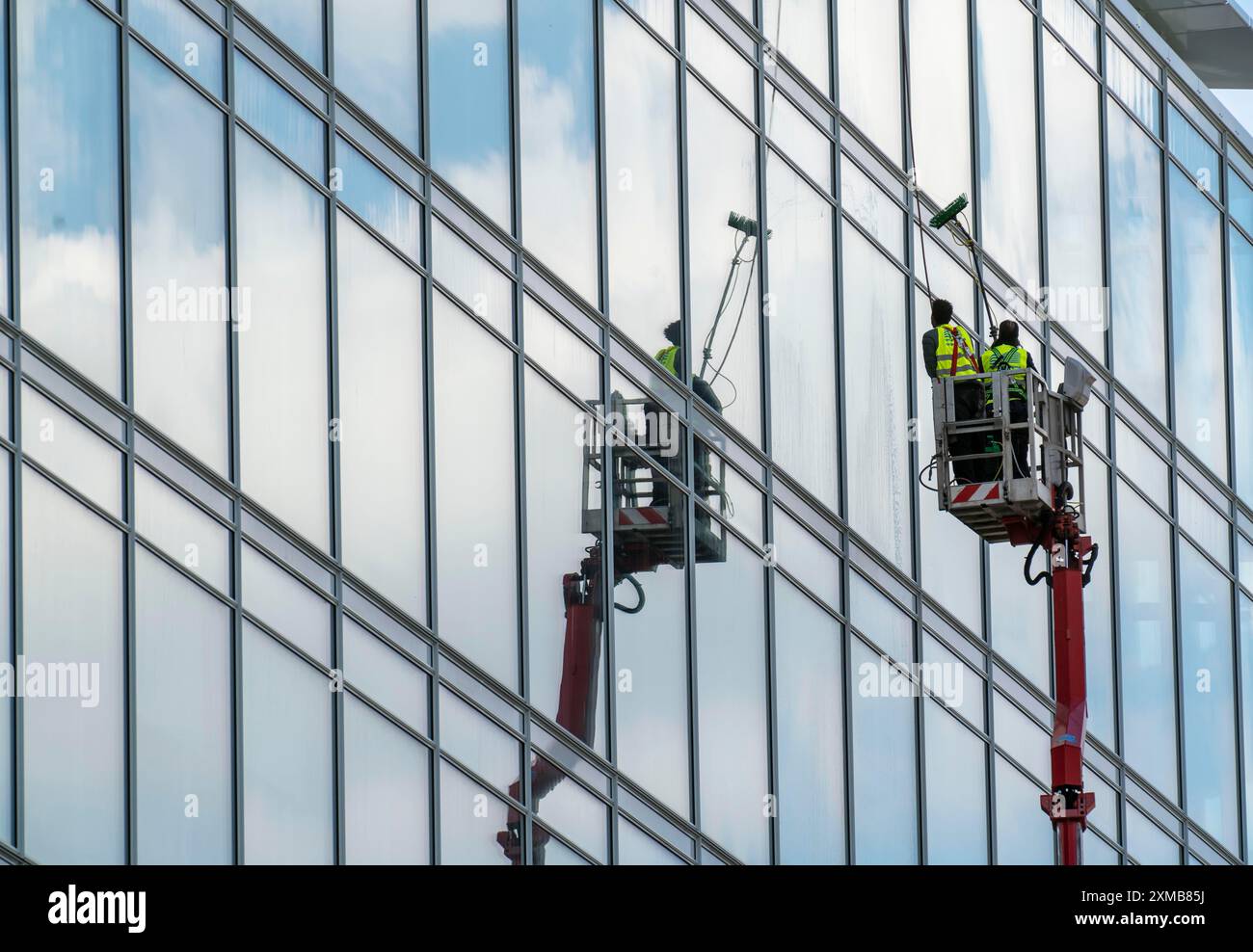 Window cleaner, building maintenance, facade cleaning, on a cherry ...