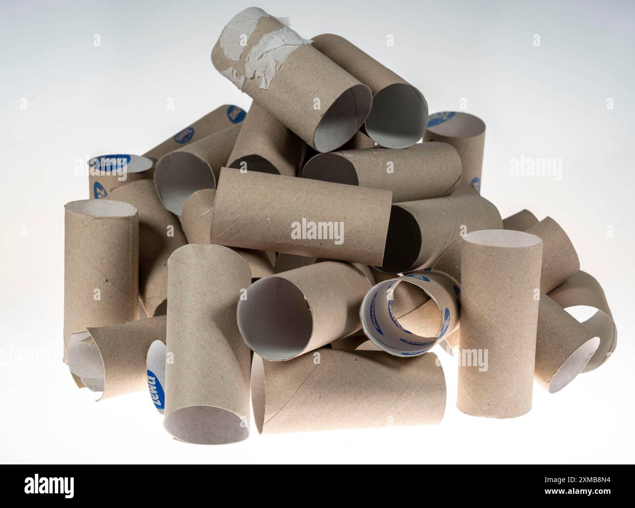 Empty toilet rolls on hi-res stock photography and images - Alamy