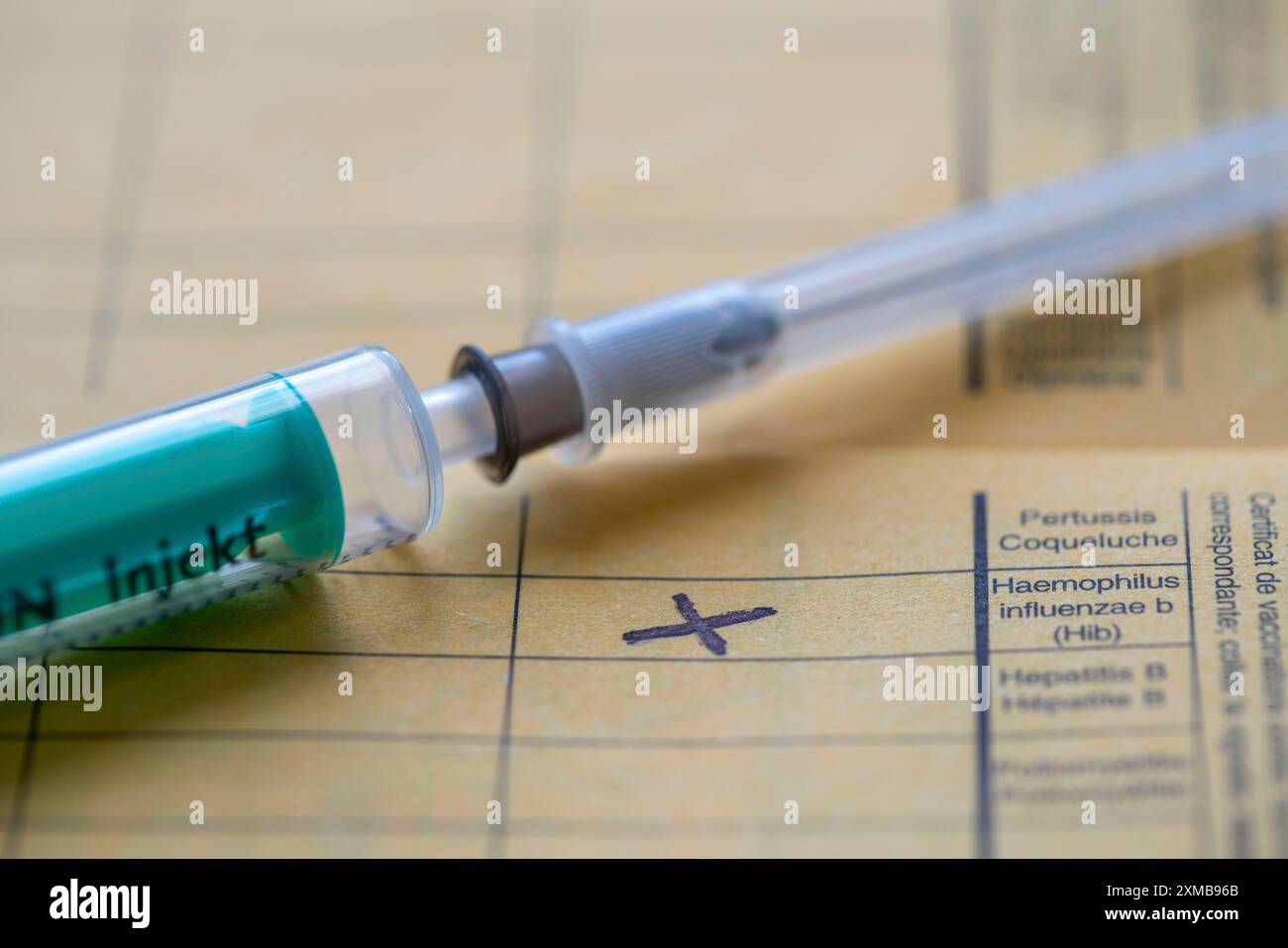Vaccination booklet, vaccination against Haemophilus influenza type B ...