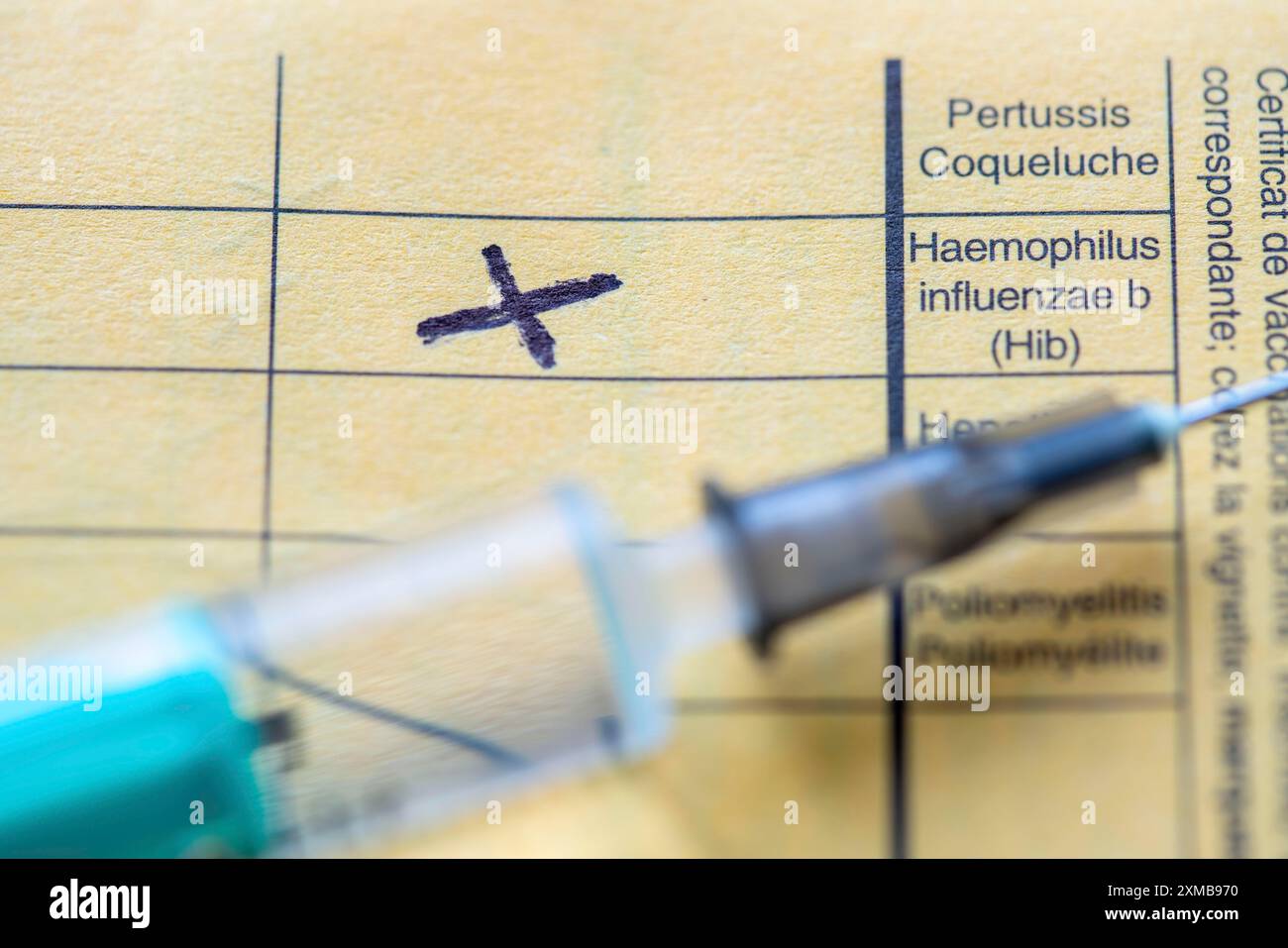 Vaccination booklet, vaccination against Haemophilus influenza type B ...