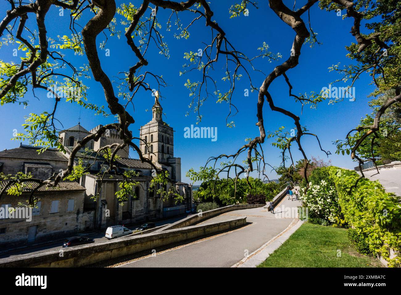Palace of the Popes, medieval Gothic,Avignon,France, Europe Stock Photo ...