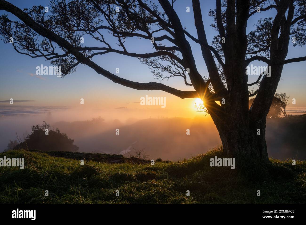 Sunrise over Mt Eden summit with volcanic crater in the fog. Sun ...