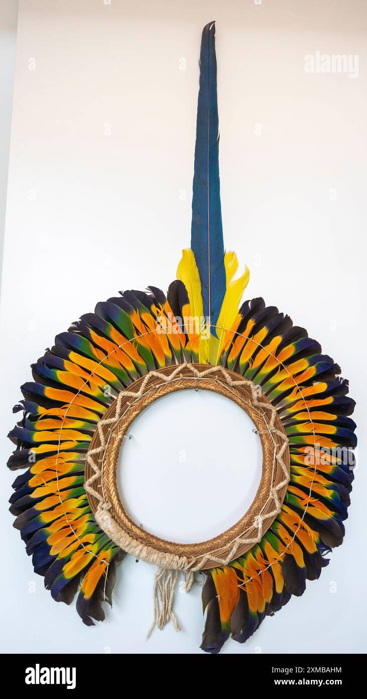 Feather crown, Kayapo culture, Amazonia, Brazil, 1950-1991, feathers, cotton thread and plant ...
