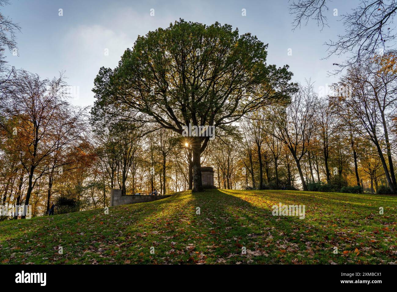Nordpark city park in hi-res stock photography and images - Alamy