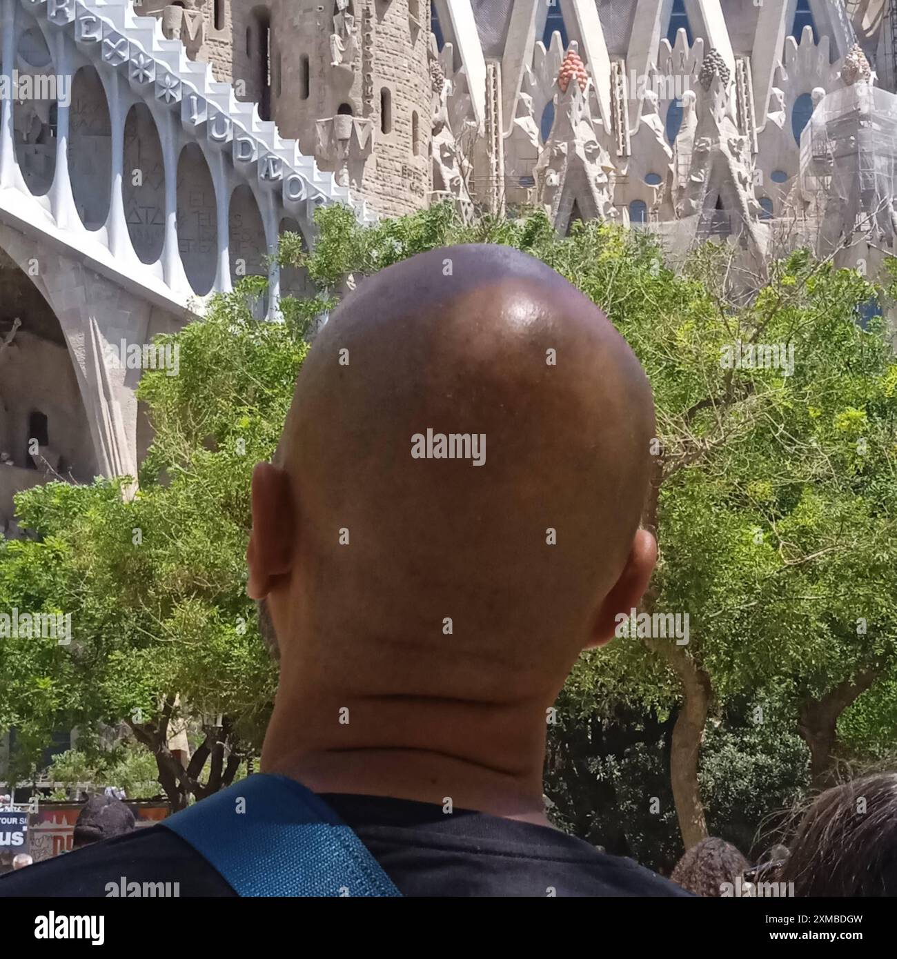 man with a bald head, hairgrowth and hairloss in aging male people man ...