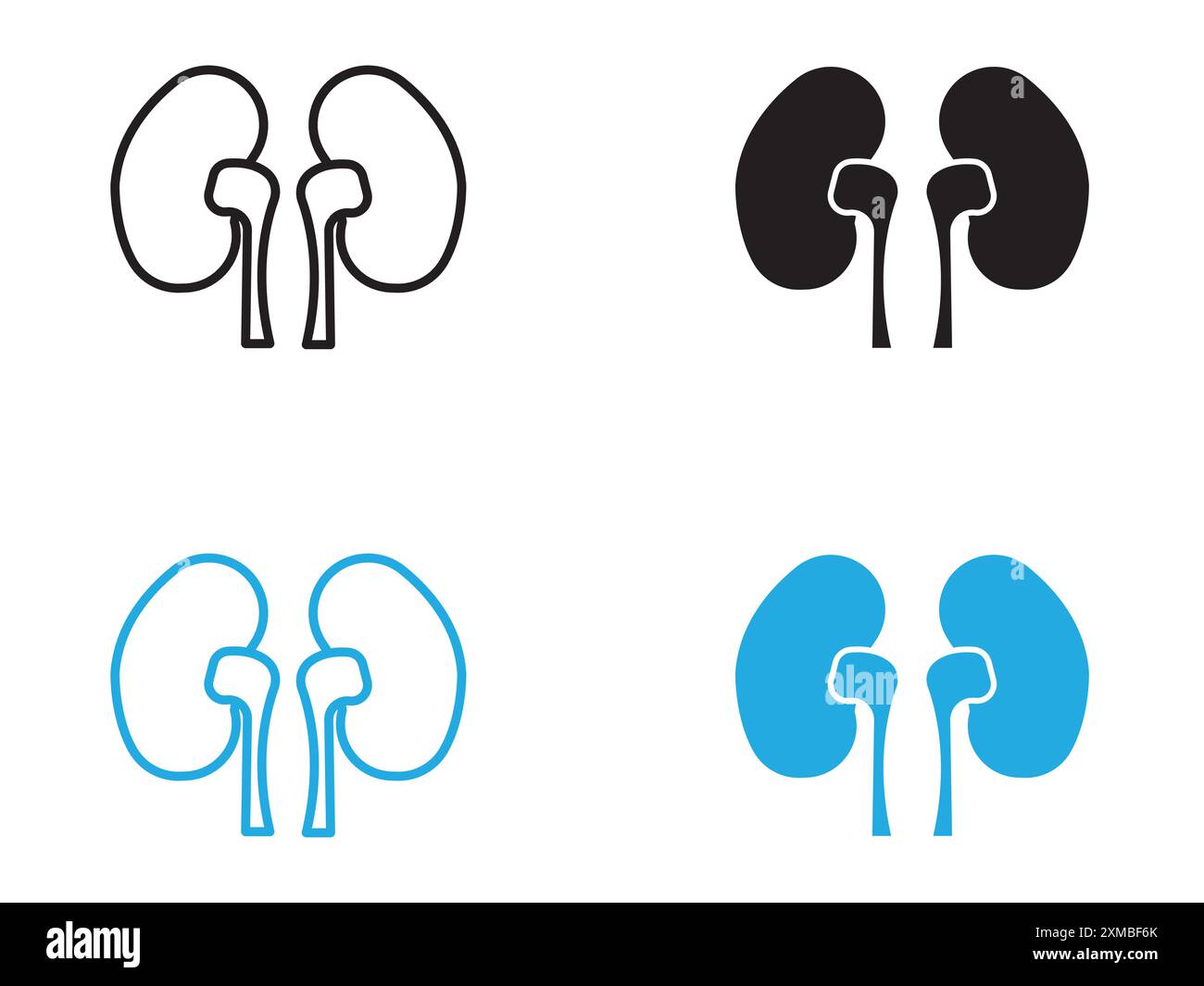 Two kidneys icon vector vectors hi-res stock photography and images - Alamy
