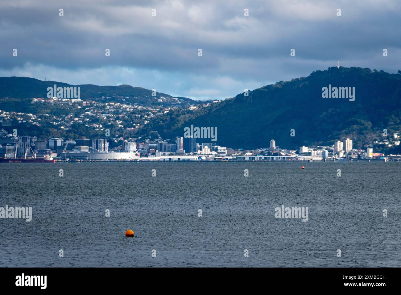 Wellington city centre, from Petone beach, North Island, New Zealand ...