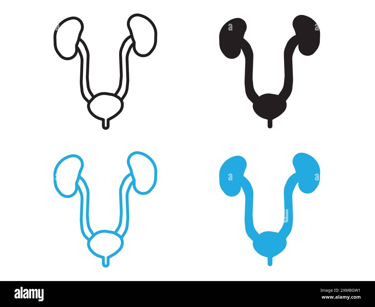 Urinary system icon vector line logo mark or symbol set collection ...