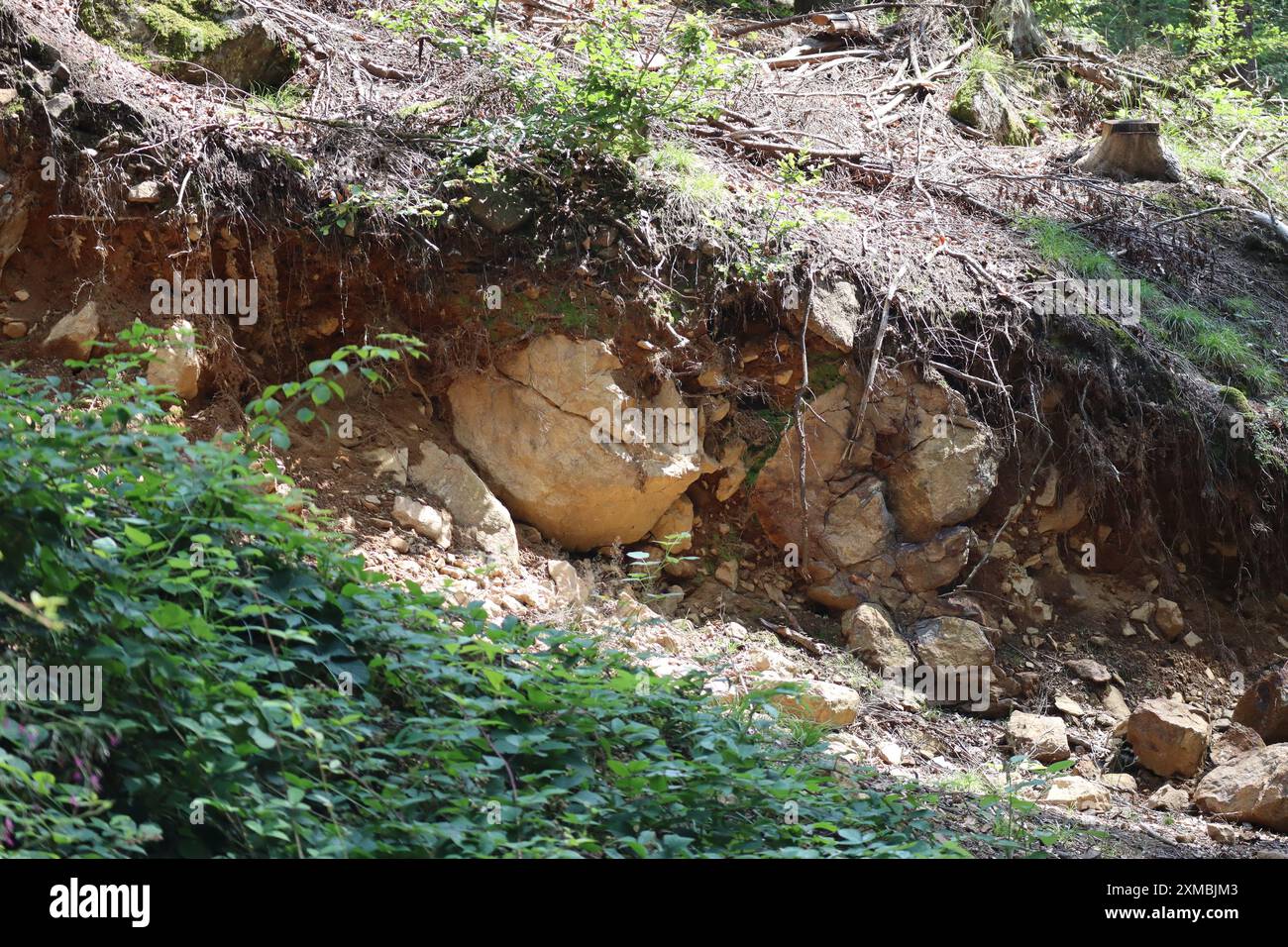 Soil soaking difficult to see from above Stock Photo - Alamy