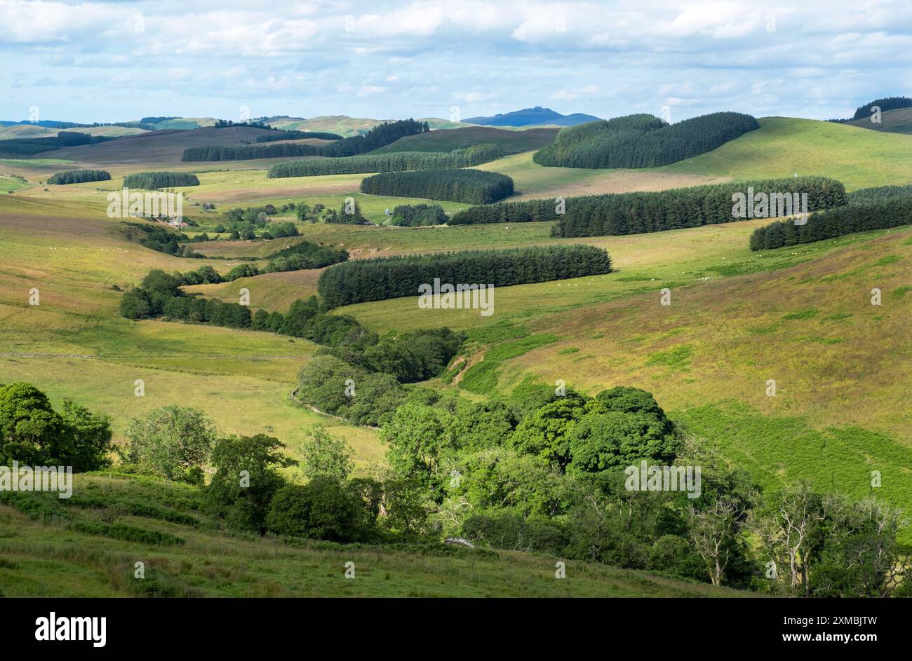 View of the Allan Water valley near Skelfhill farm, Hawick Scottish ...