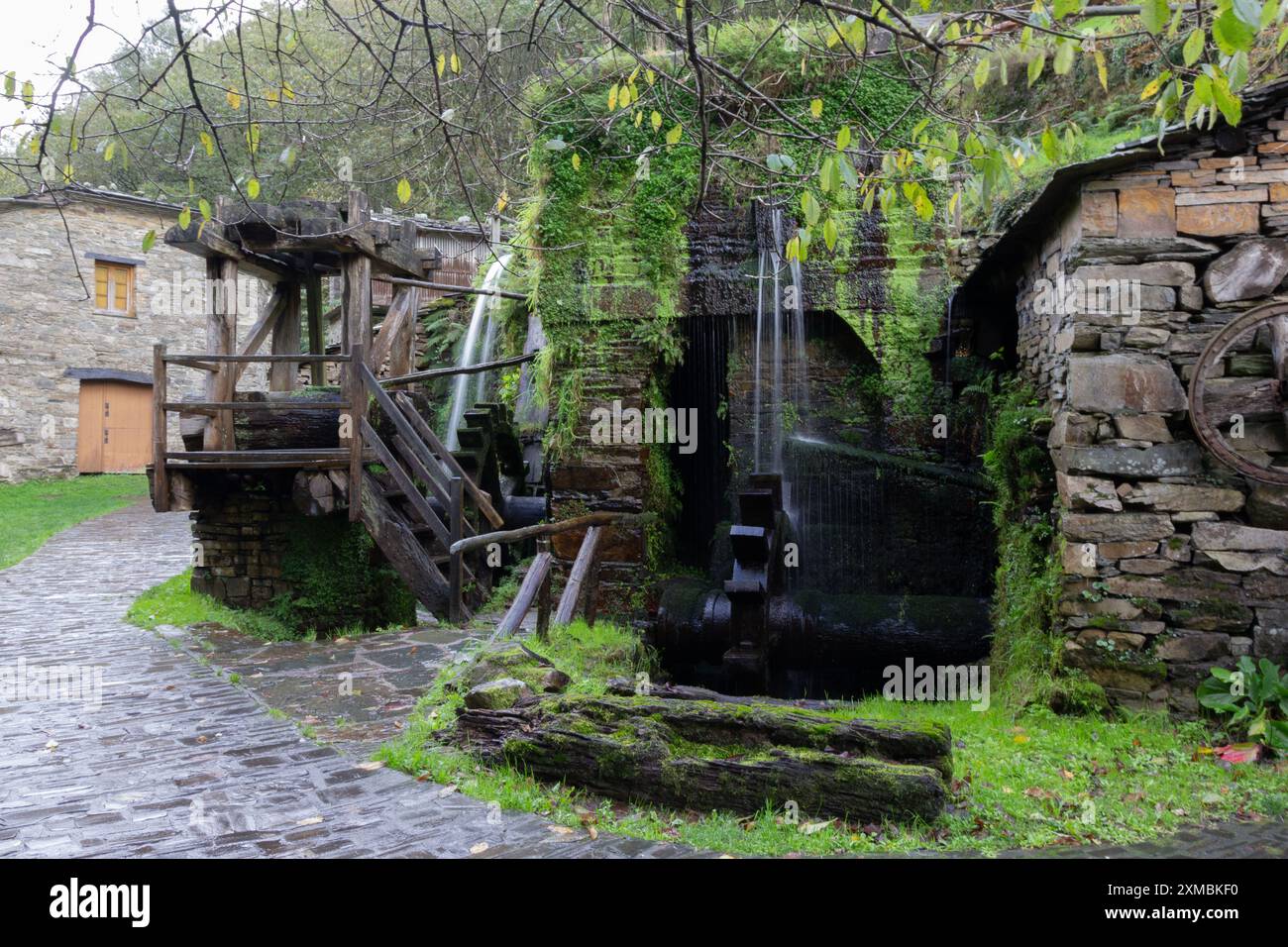 Rustic fulling mill surrounded by lush greenery and waterfall, old ...