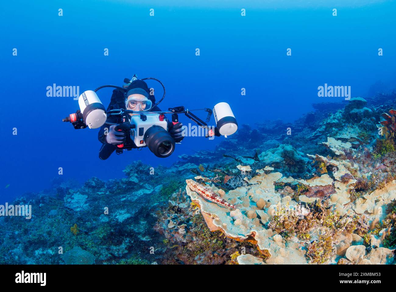 Diver (MR) with an Ikelite camera housing system lining up on a ...