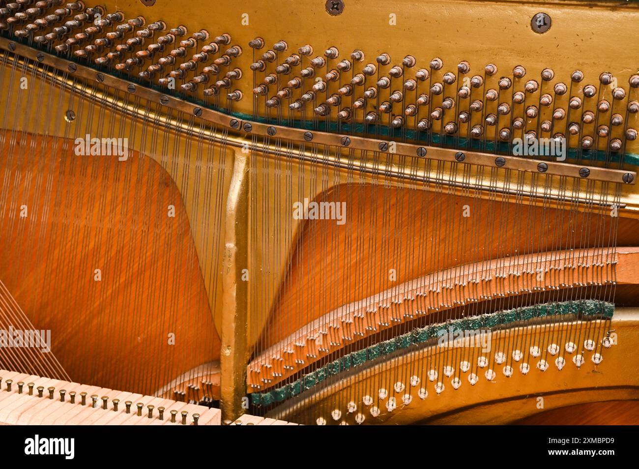 Strings inside hi-res stock photography and images - Alamy