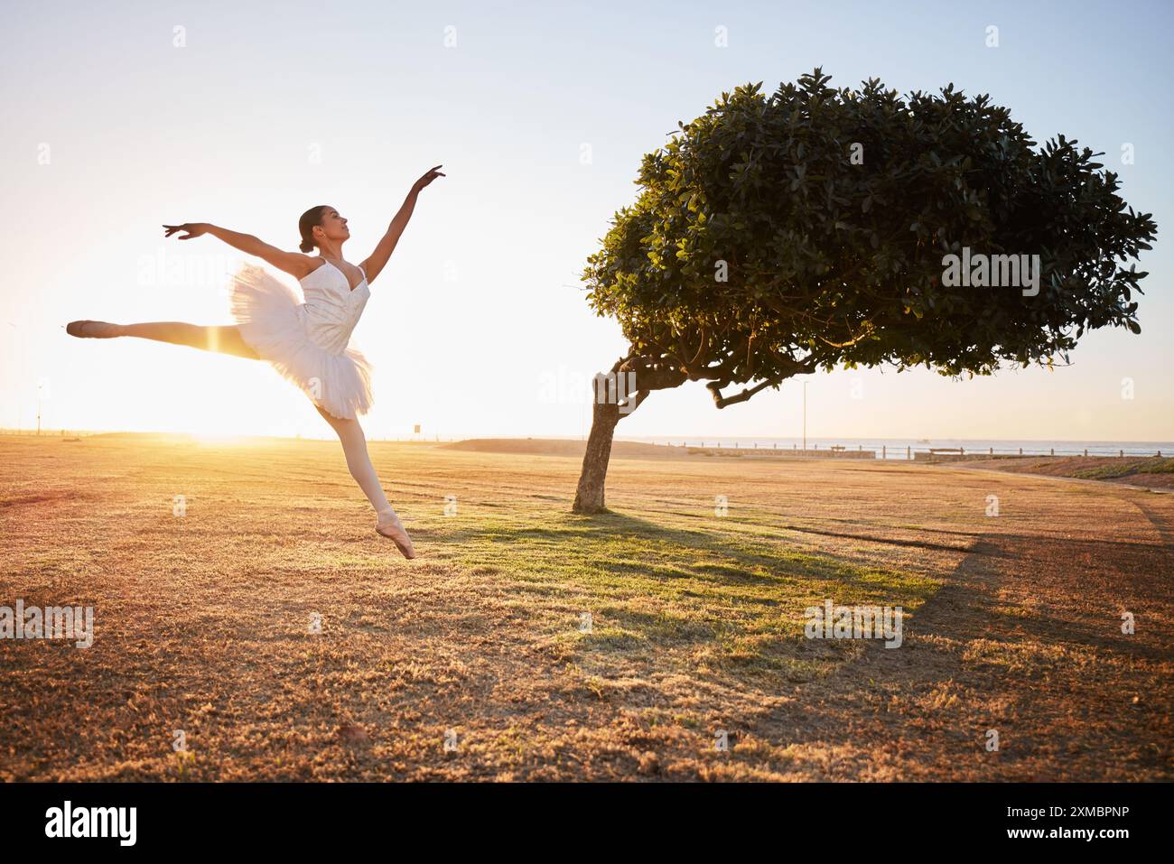 Ballerina training in nature hi-res stock photography and images - Alamy
