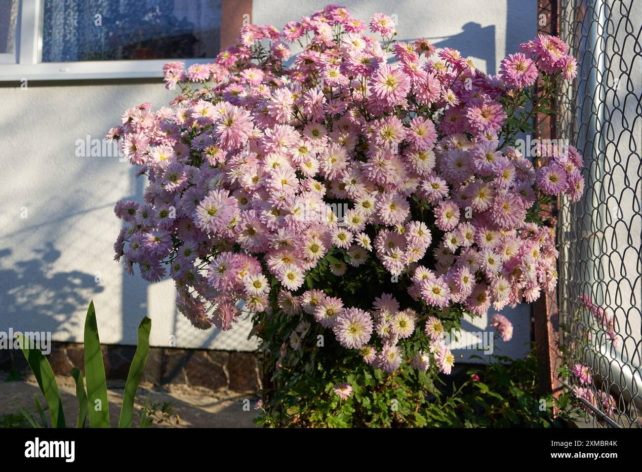 Bouquet beautiful bright autumn hi-res stock photography and images - Alamy