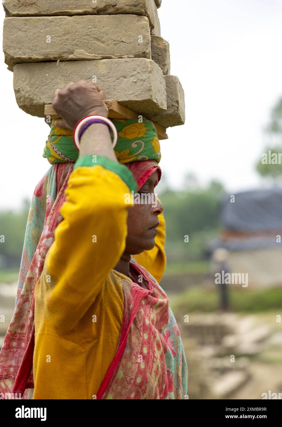 A bangladeshi woman carrying bricks on her head at a brick factory ...
