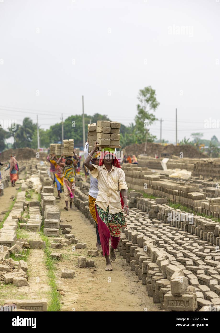 Women carrying bricks on their heads at a brick factory, Sylhet ...