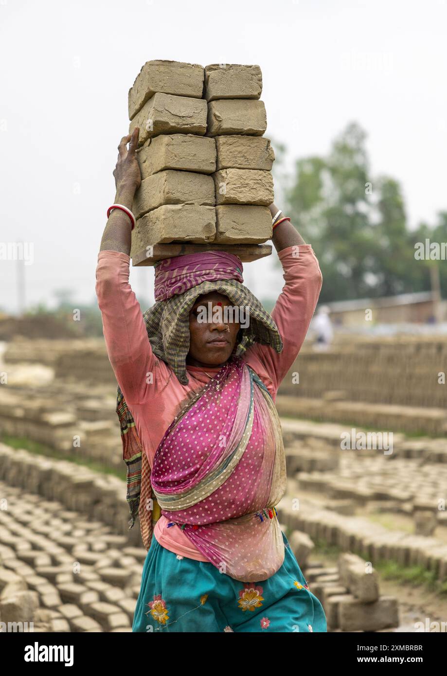 A bangladeshi woman carrying bricks on her head at a brick factory ...