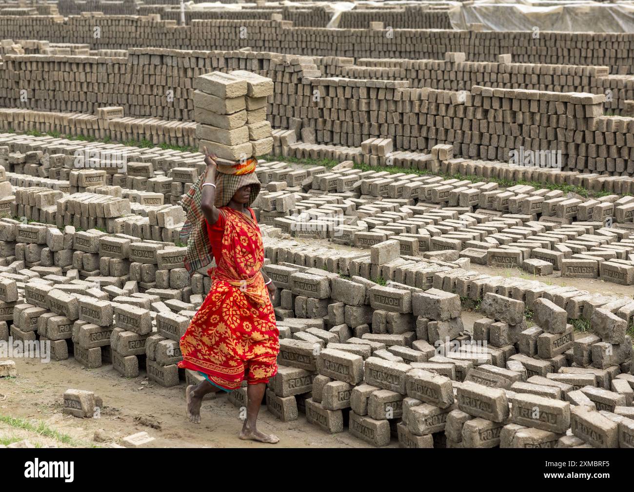 A bangladeshi woman carrying bricks on her head at a brick factory ...