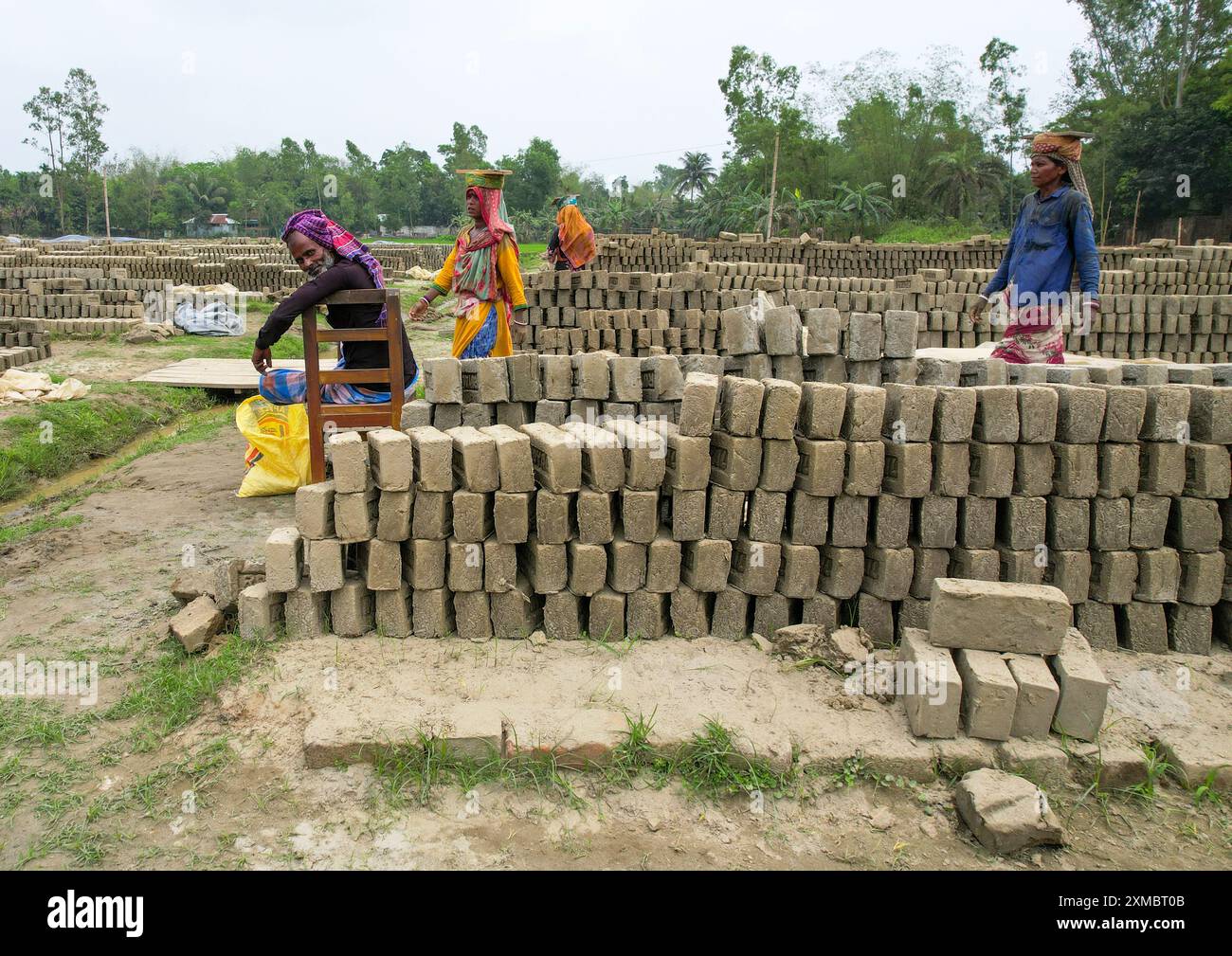 Bangladeshi brick field workers arranging bricks, Sylhet Division ...