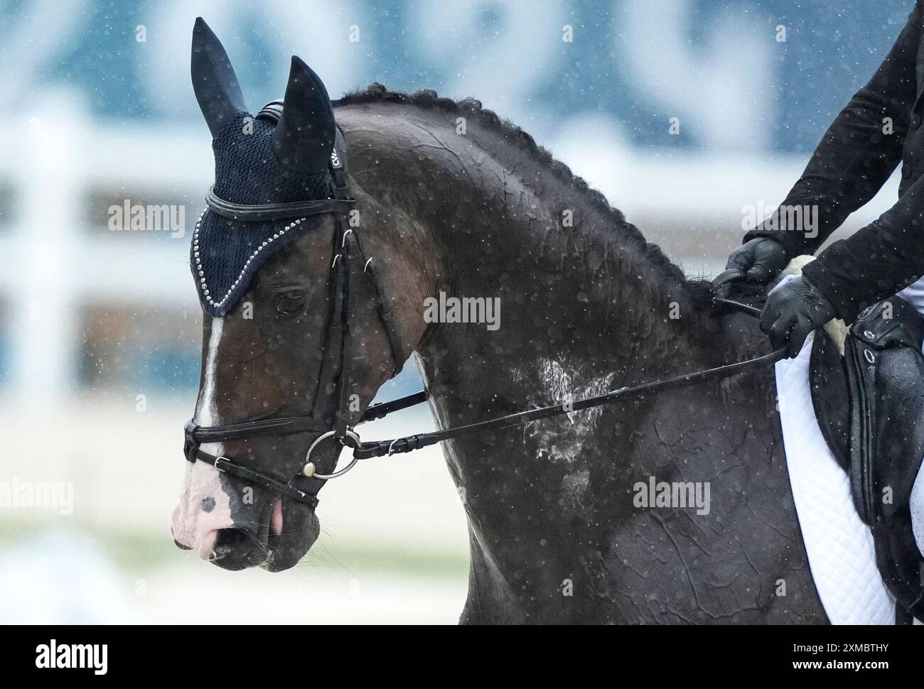 China's Sun Huadong and his horse Lady Chin V't Moerven Z during the ...