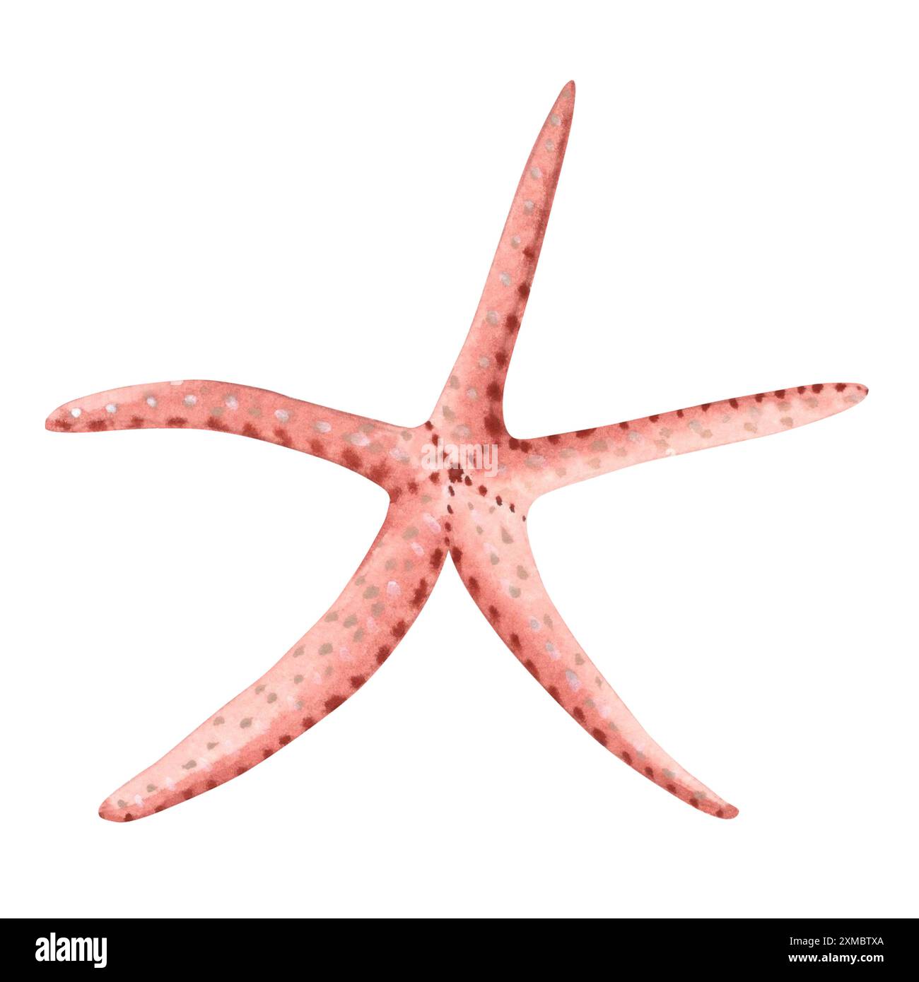 Starfish red Hand drawn watercolor illustration isolated of background ...