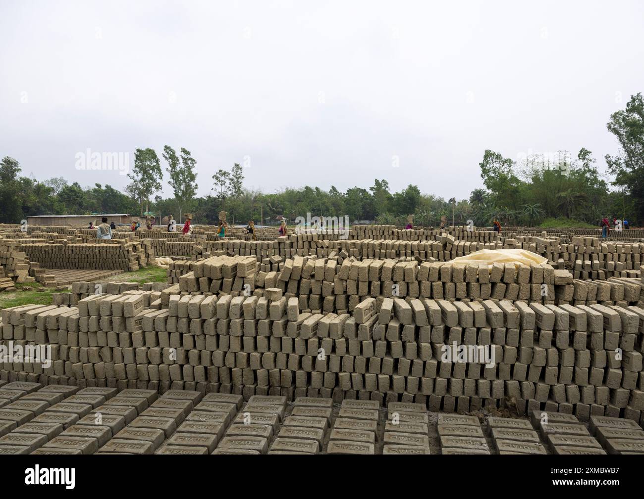 Workers carrying bricks on their heads at a brick factory, Sylhet ...