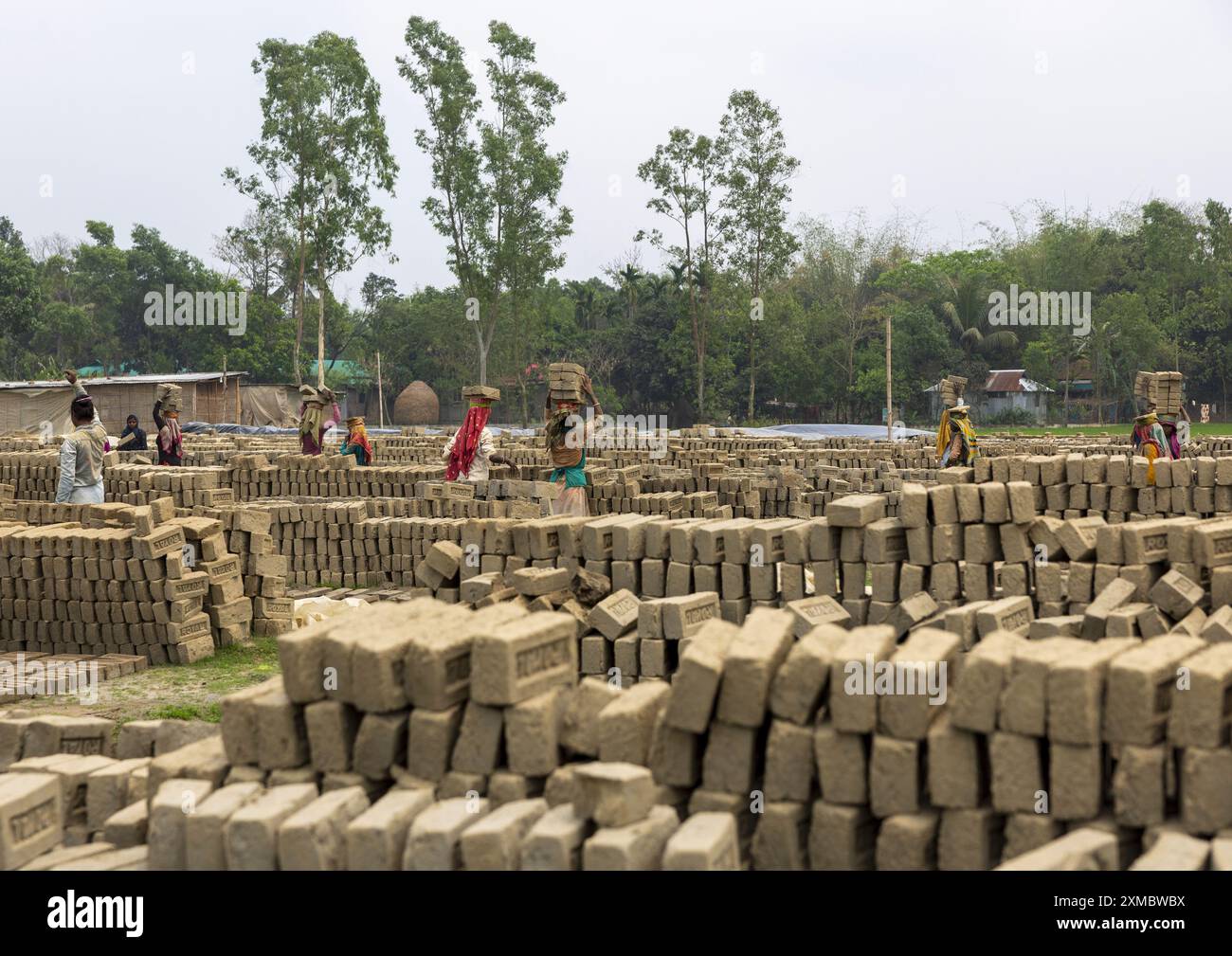 Workers carrying bricks on their heads at a brick factory, Sylhet ...