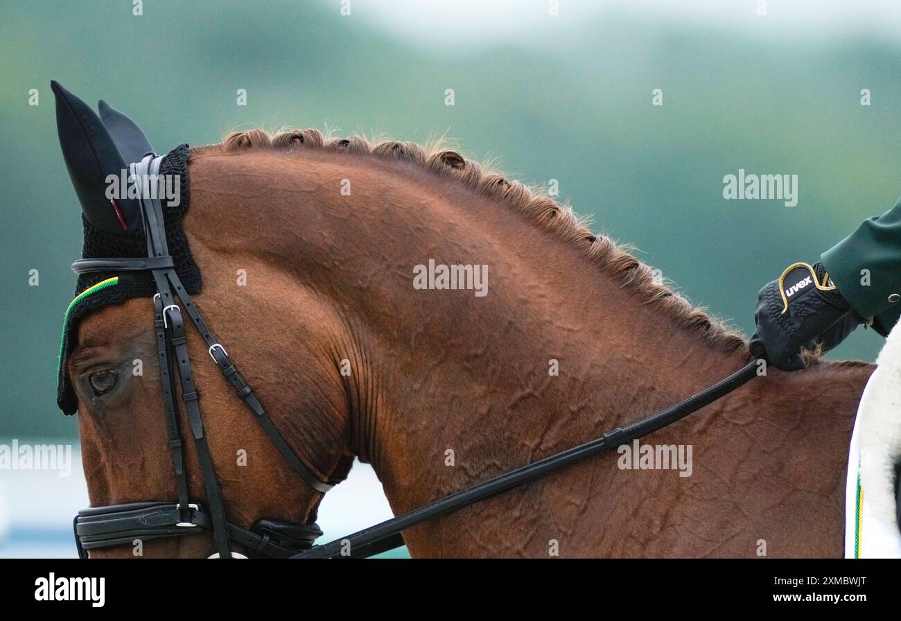 Brazil's Carlos Parros and his horse Safira during the Equestrian ...